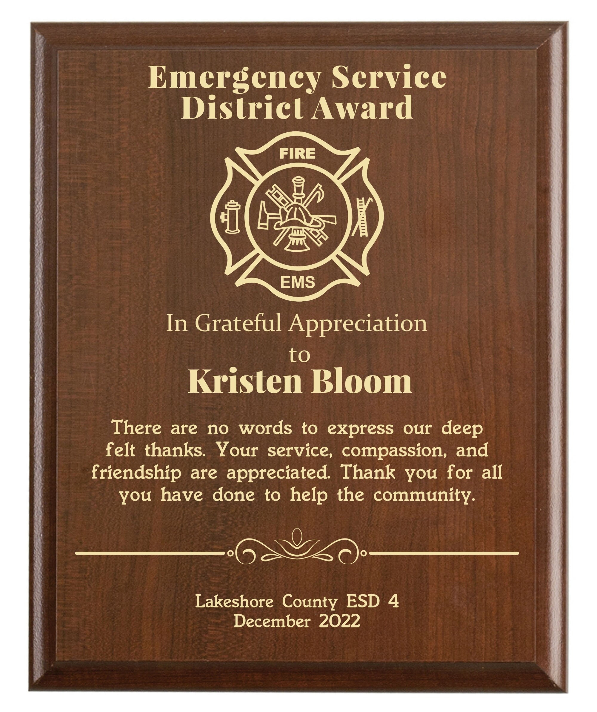 Collectibles Trophies & Awards Memorabilia EMT of the Year Award Plaque ...