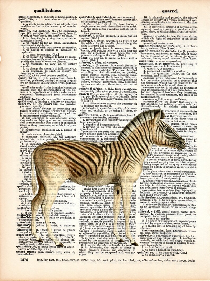 ZEBRA Dictionary Art Print, Safari Nursery Art, Jungle Baby Shower ...