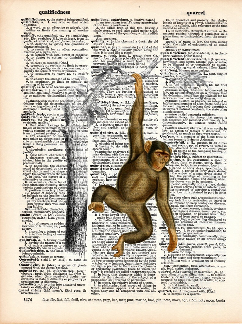 MONKEY Dictionary Art Print, Safari Nursery Art, Jungle Baby Shower ...