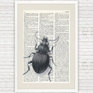 Dictionary Art BEETLE BUG Vintage Dictionary Paper Collage - Etsy