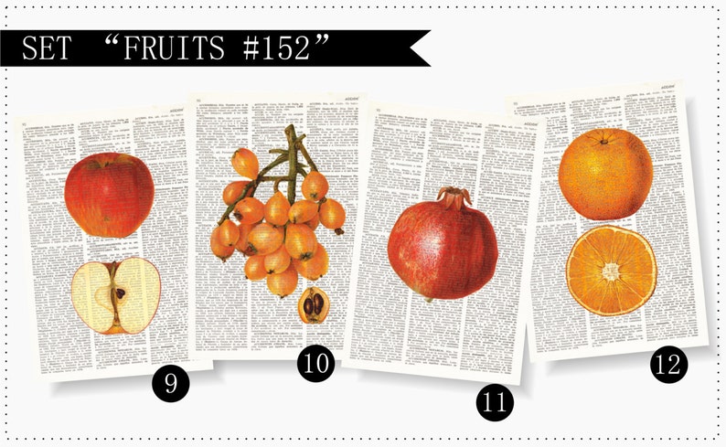 FRUITS Dictionary Art Print Set Prints on Dictionary Pages - Etsy