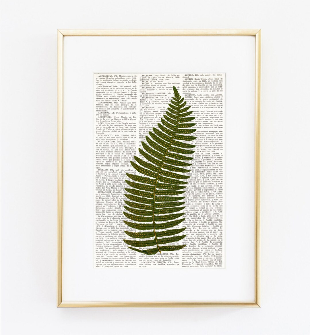 Fern Dictionary Art Print Herbarium Specimen Print Fern - Etsy