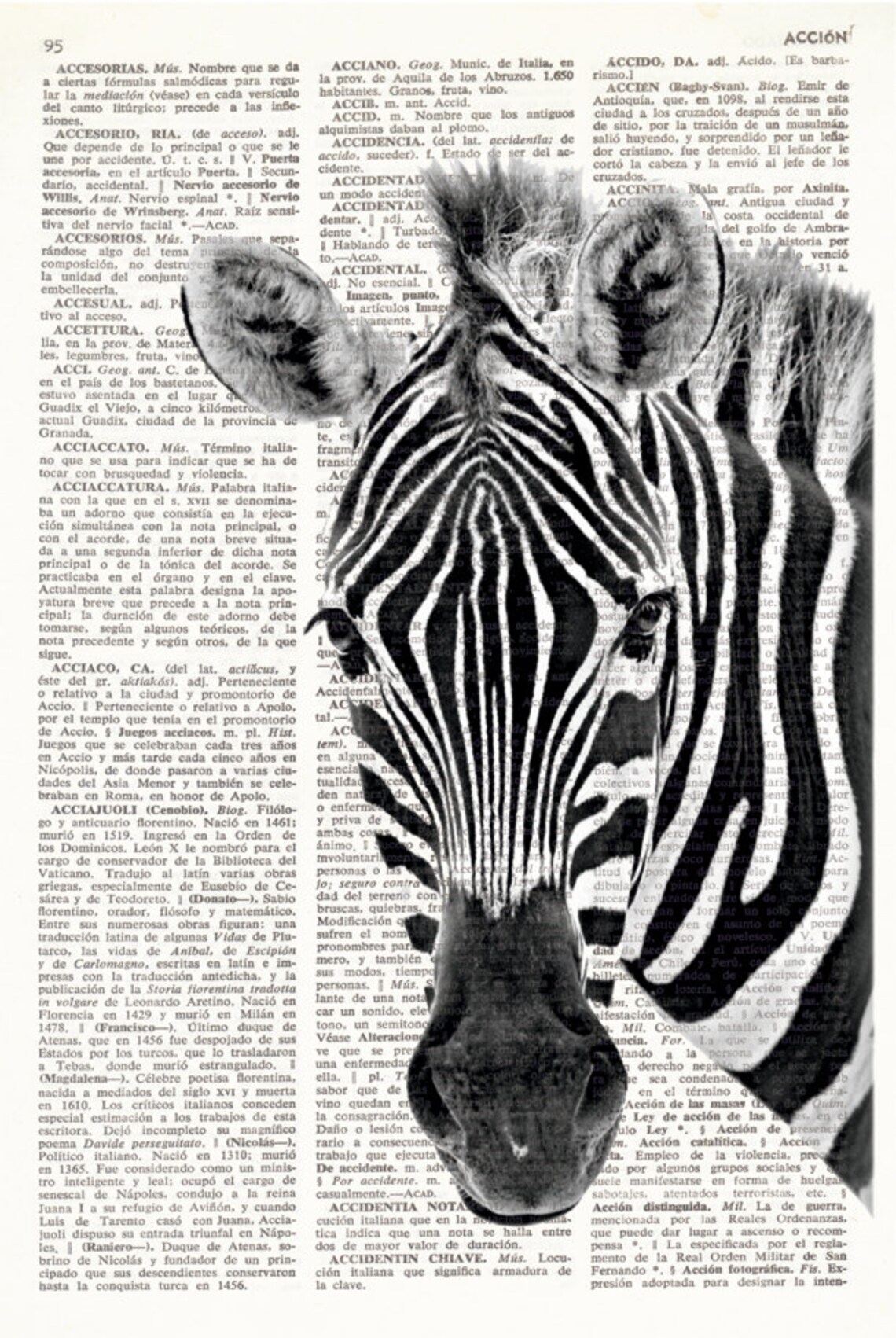 Print on Dictionary Paper ZEBRA Dictionary Art Prints Zebra - Etsy