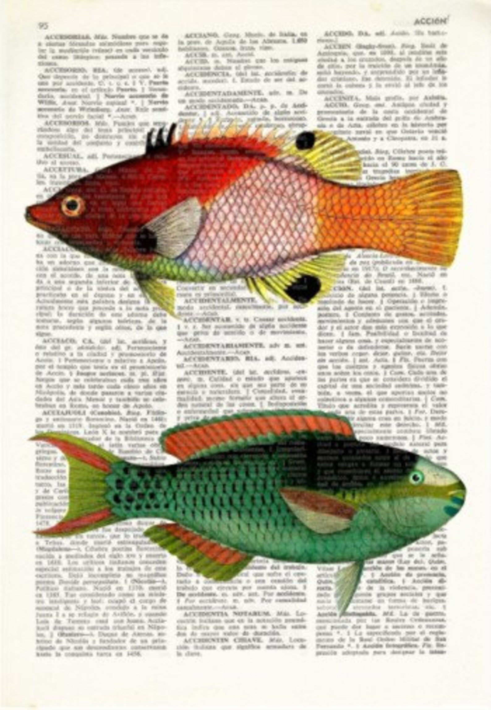 FISH PRINT Art Over DICTIONARY Old Page Dictionary Art - Etsy