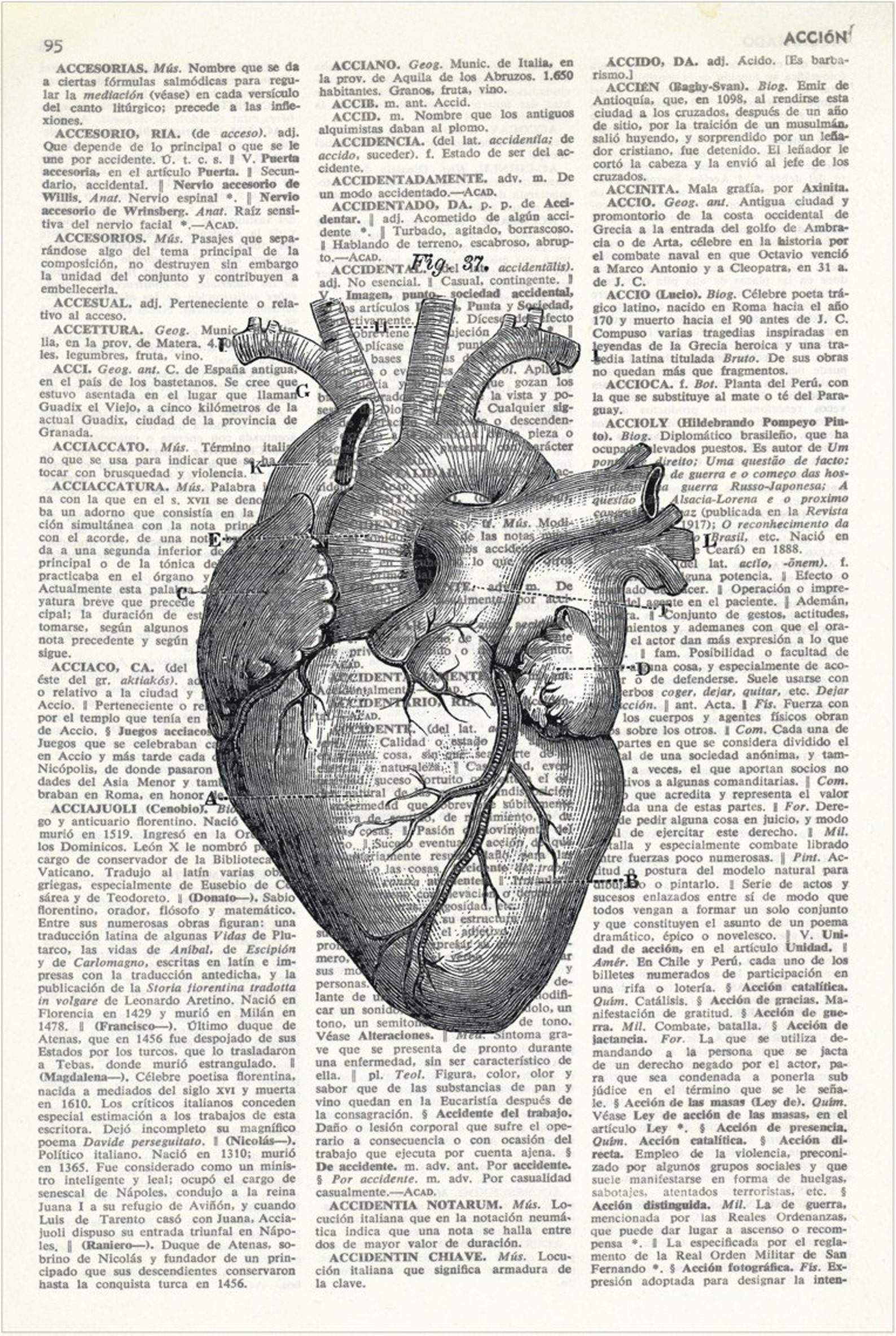 HUMAN HEART Dictionary Art Print, Medical Anatomy Heart Diagram Print ...