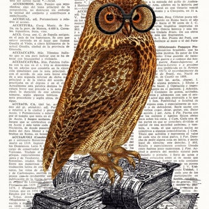 Dictionary Art Print NERD OWL Vintage Illustration Wise Owl - Etsy