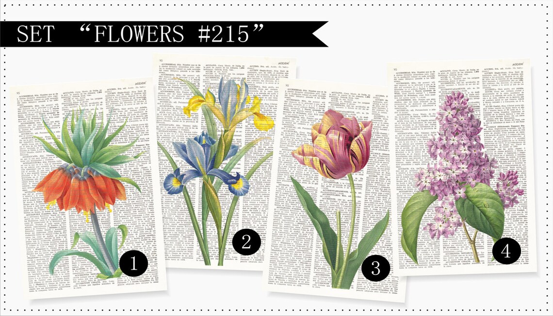 FLOWERS Dictionary Art Print Set Botanical Print Set Pressed - Etsy