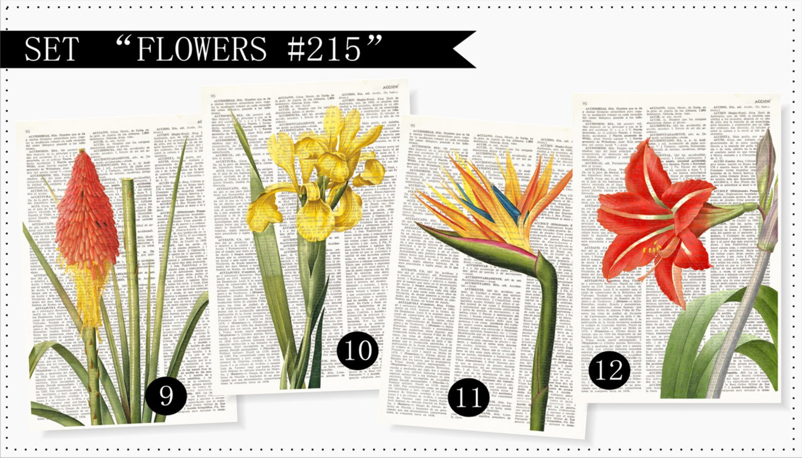 FLOWERS Dictionary Art Print Set Botanical Print Set Pressed - Etsy