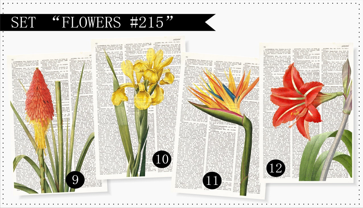 FLOWERS Dictionary Art Print Set Botanical Print Set Pressed - Etsy