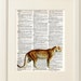 LEOPARD Dictionary Art Print, Safari Nursery Art, Jungle Baby Shower ...