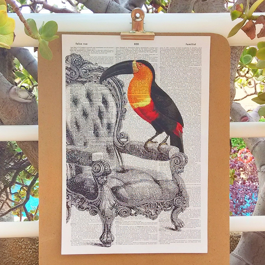 Dictionary Art Print TOUCAN AND CHAIR Wall Art Fun Decor - Etsy