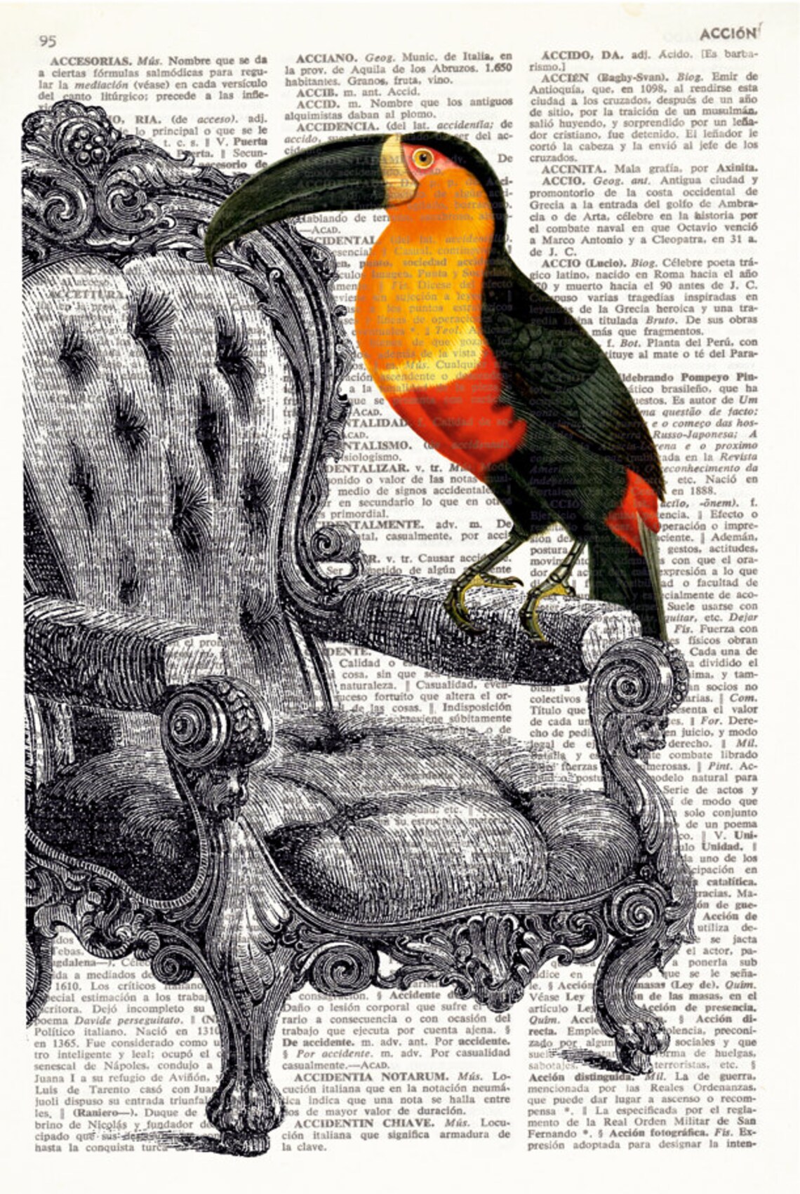 Dictionary Art Print TOUCAN AND CHAIR Wall Art Fun Decor - Etsy
