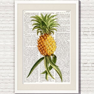 Dictionary Art Print PINEAPPLE, Antique Print, Kitchen Wall Decor ...