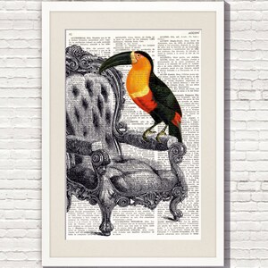 Dictionary Art Print TOUCAN AND CHAIR Wall Art Fun Decor - Etsy