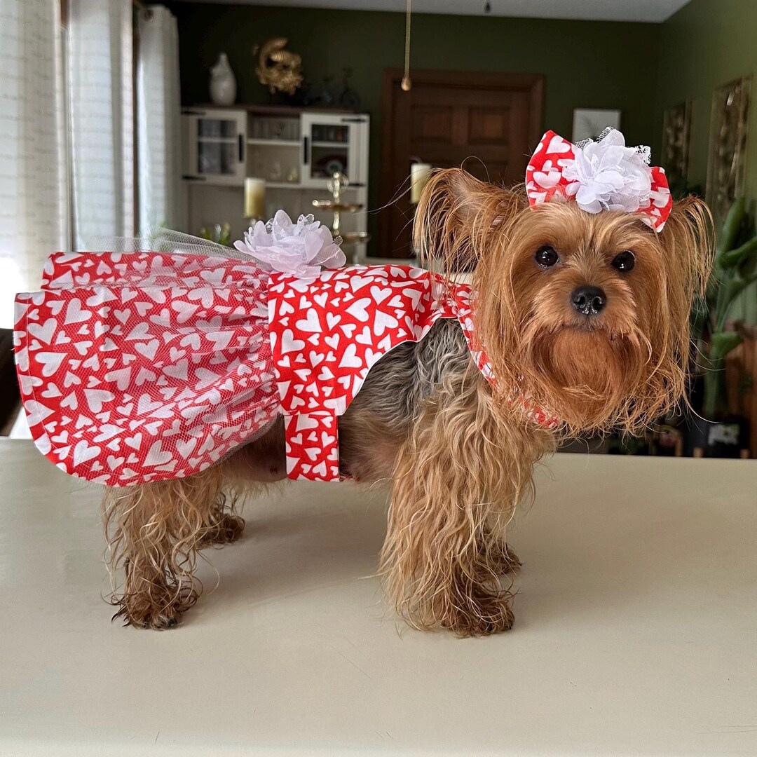 Red Dog Dress and Matching Hair Bow for Small Pets 7-10 Lbs - Etsy