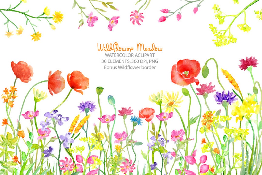 Watercolor Clipart - Wild Flower Meadow Border Instant Download for ...
