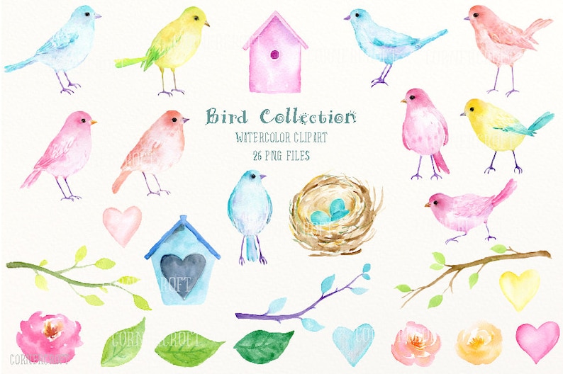 Bird Clip Art Bird Collection blue bird pink bird yellow | Etsy