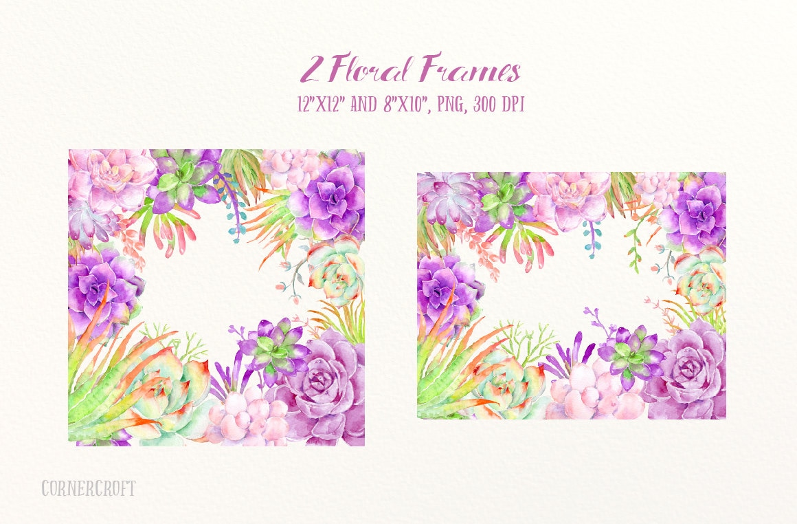 Watercolor Pink and Purple Succulent Plants | Etsy