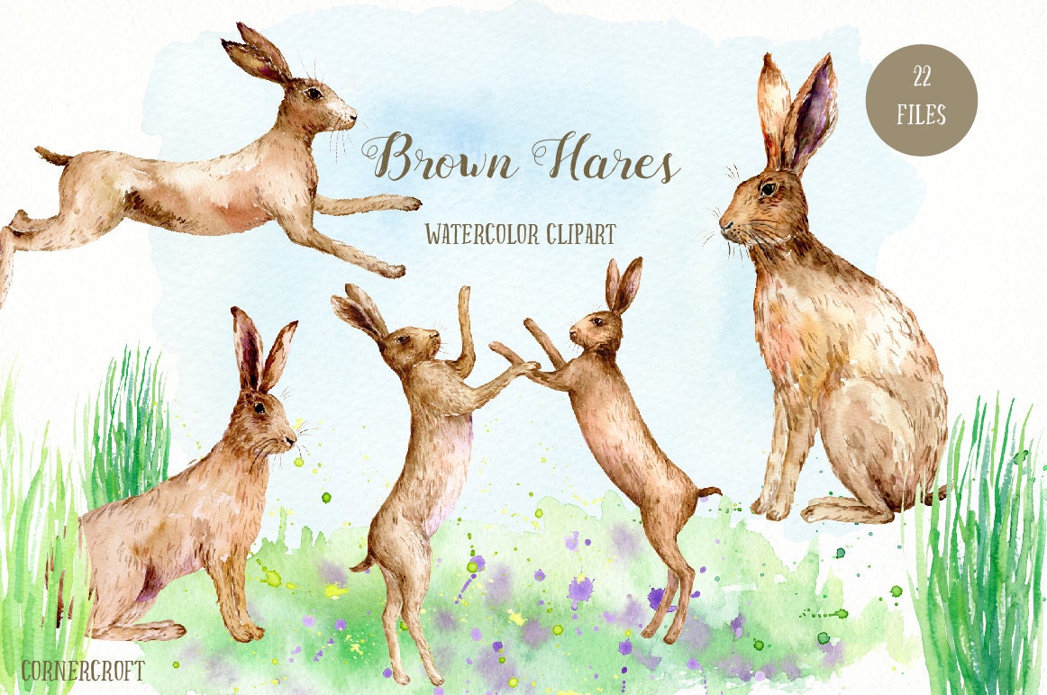 Hare Clipart