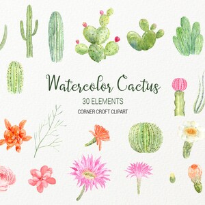 Watercolor Cactus Clipart in Botanical Illustration Style - Etsy