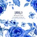 Watercolor Clipart Indigo - Indigo and Blue Flowers and Decorative ...
