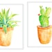 Watercolor Clipart - Hand Painted Watercolor Cactus in Terracotta Pots ...