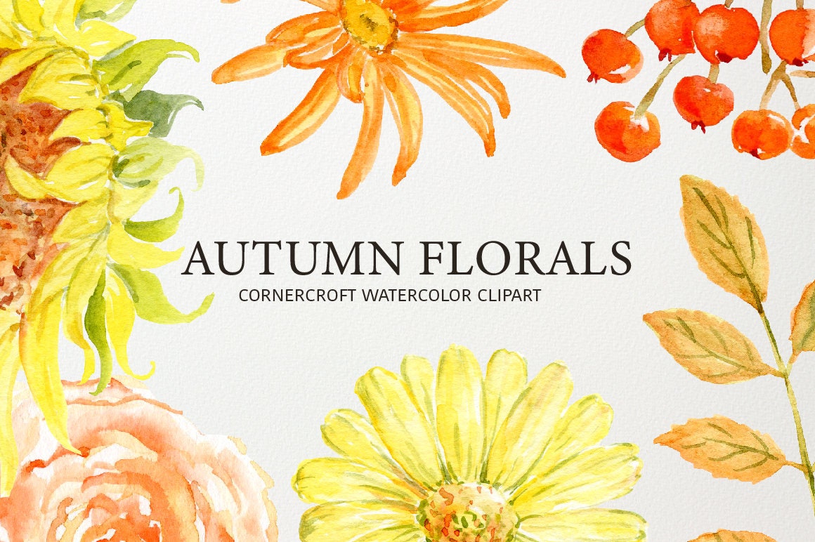 Watercolor Clipart Autumn Florals Fall Flowers Sunflower | Etsy