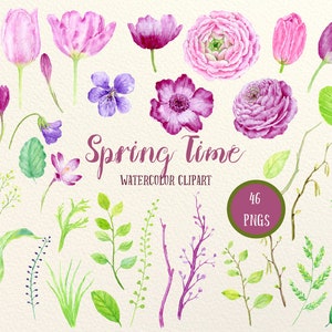 Watercolor Collection Spring Time - Pink and Purple Ranunculus, Tulips ...