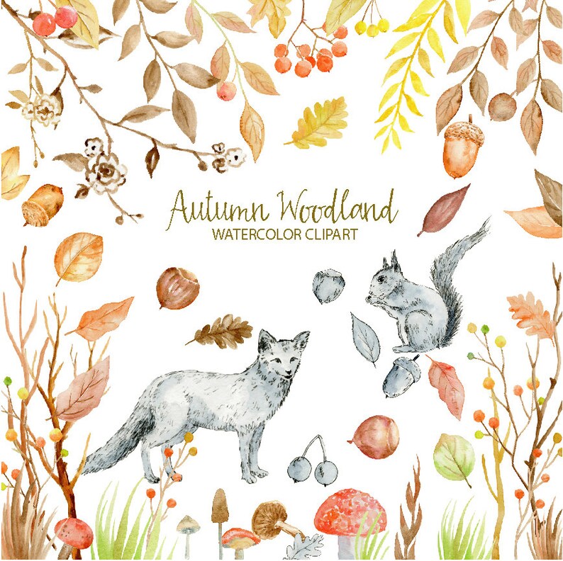 Watercolor Clipart Autumn Woodland fox squirrel autumn | Etsy