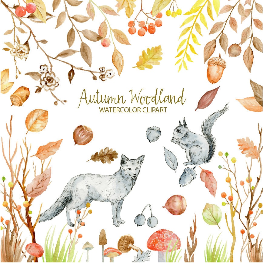 Watercolor Clipart - Autumn Woodland, Fox, Squirrel, Autumn Leaves ...