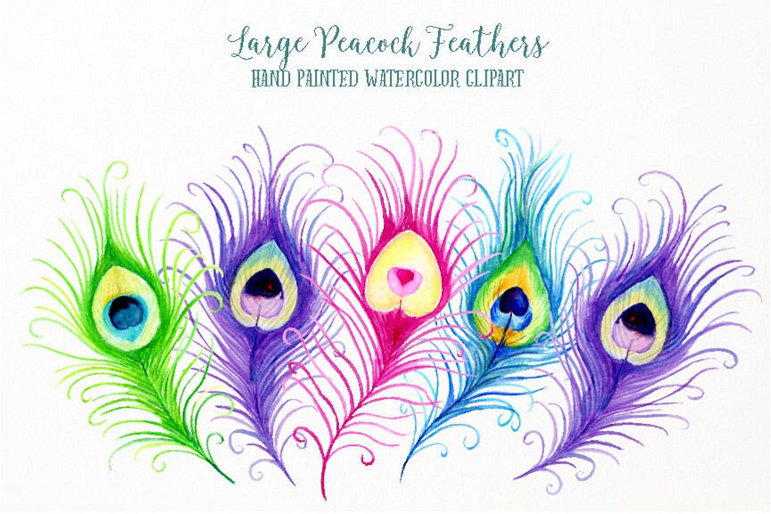 Watercolor Clipart Peacock Feathers for Instant Download - Etsy UK