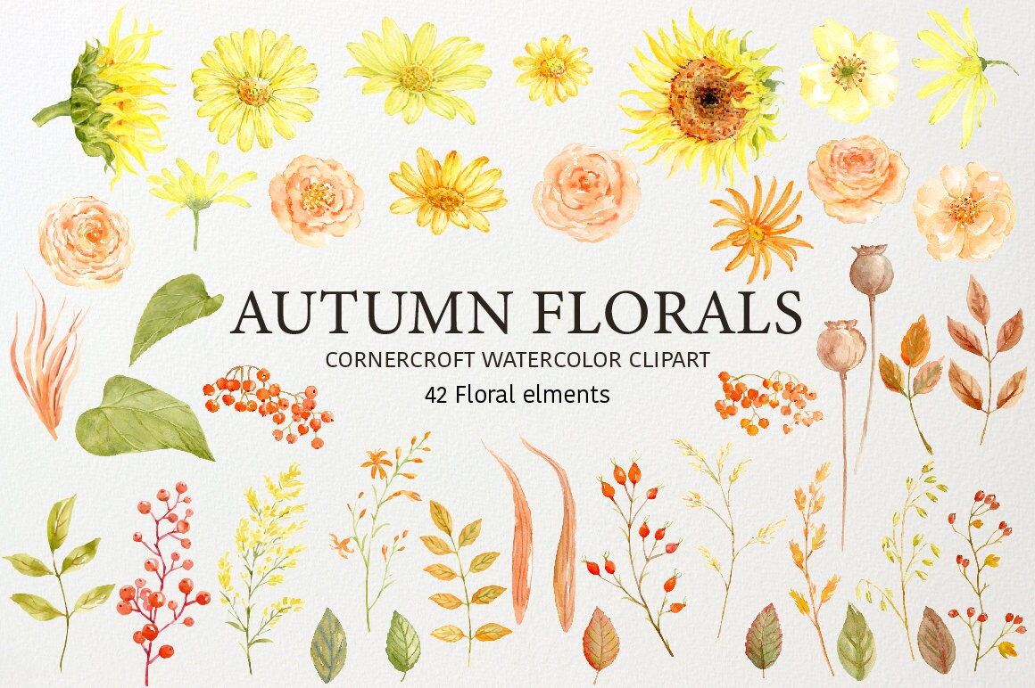 Watercolor Clipart Autumn Florals Fall Flowers Sunflower | Etsy