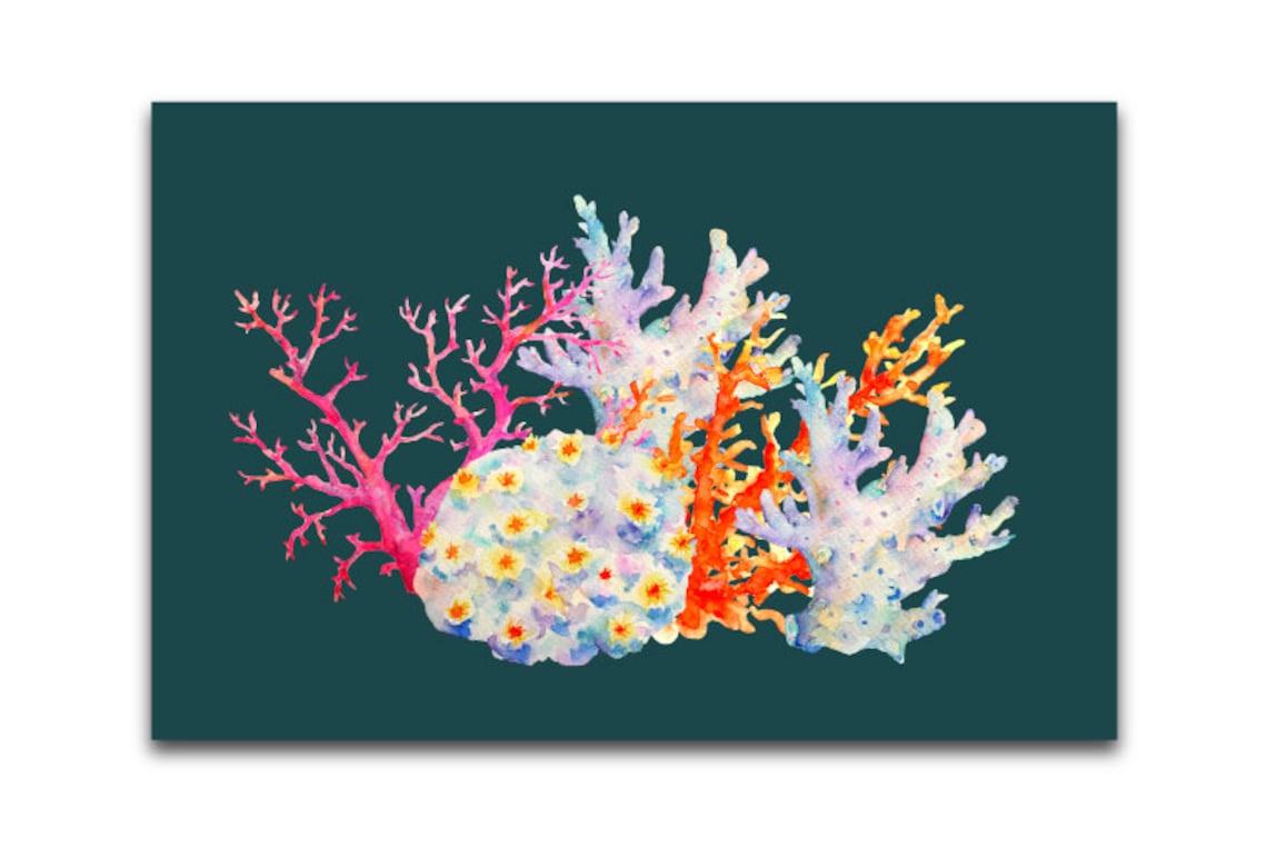 Illustration de corail tropical mer clipart aquarelle pour ...