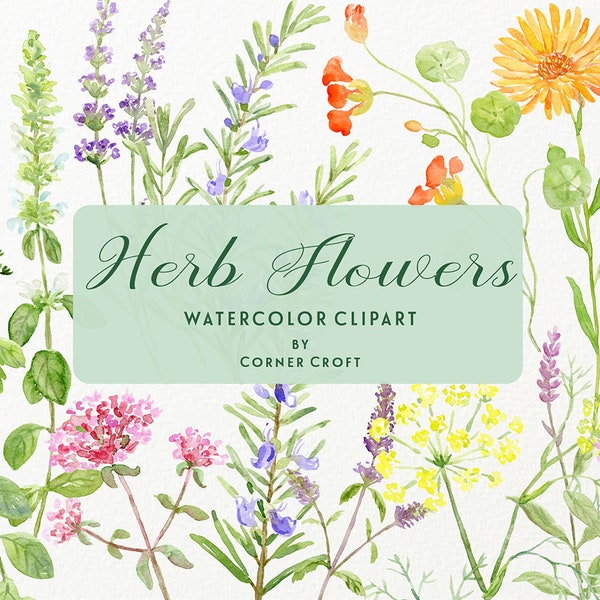 Herb Clipart - Etsy
