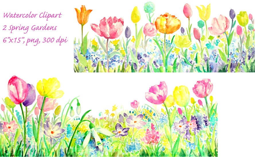 Tulip Clipart Hand Painted Watercolor Spring Flower Long | Etsy UK