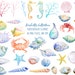Watercolor Clipart Seashell Collection - Seashells, Crabs, Star Fish ...