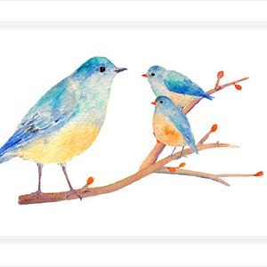 Hand Painted Watercolour Birds - Blue Bird, Chicks, Bird Nest With Eggs ...