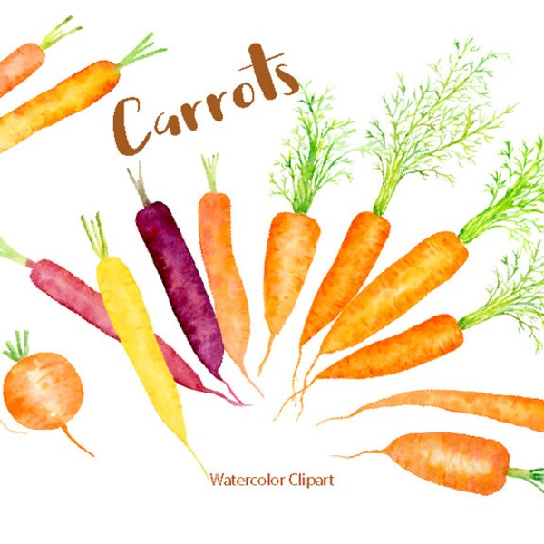 Rainbow Carrots - Etsy