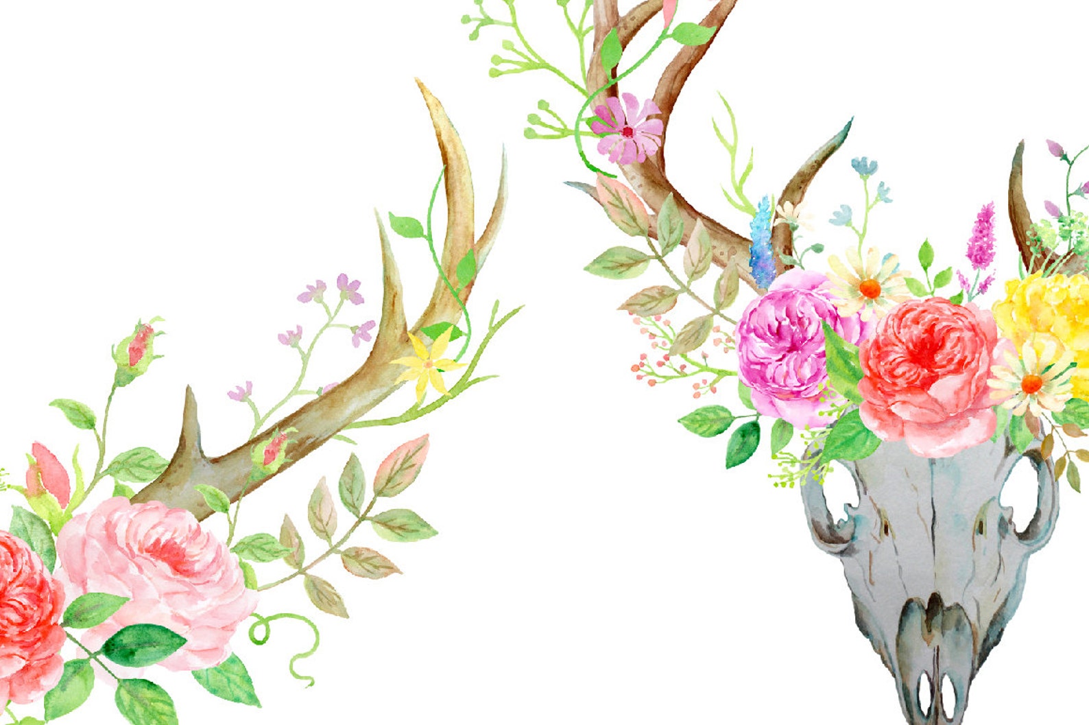 Watercolor Clipart Wild and Free Watercolor Antler and Deer - Etsy UK