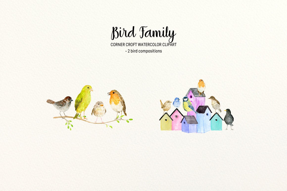 Bird Family Illustration for Making Personalised Prints, Watercolor ...