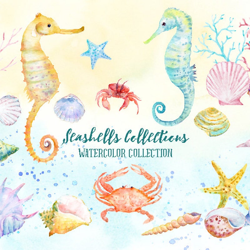 Seashell Fish - Etsy