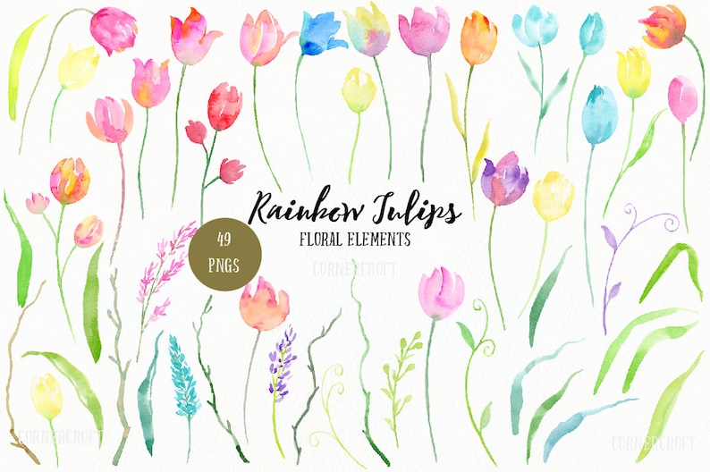 Tulip Clip Art Rainbow Tulips Watercolor Pastel Color Tulips | Etsy