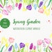 Spring Flower Clip Art Watercolor Spring Garden Bundle | Etsy