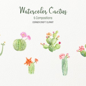 Watercolor Cactus Clipart in Botanical Illustration Style - Etsy