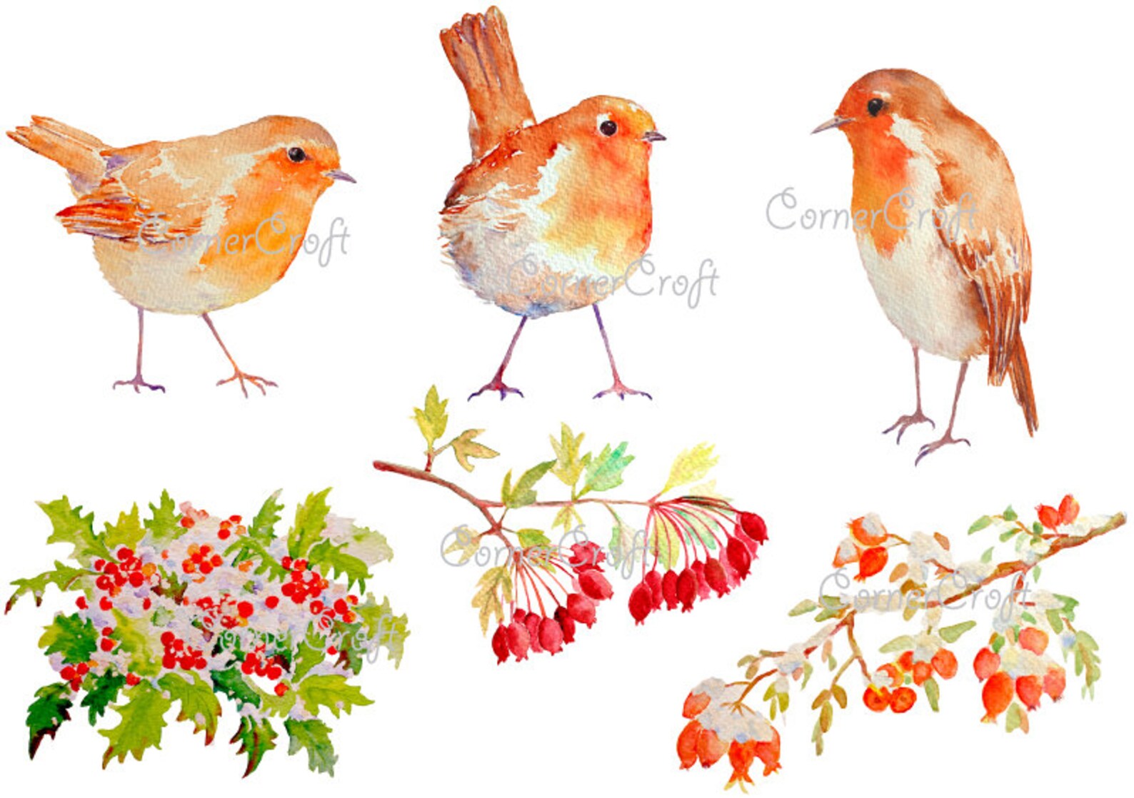 Digital Watercolour Christmas Robins and Red Berries in Snow | Etsy UK