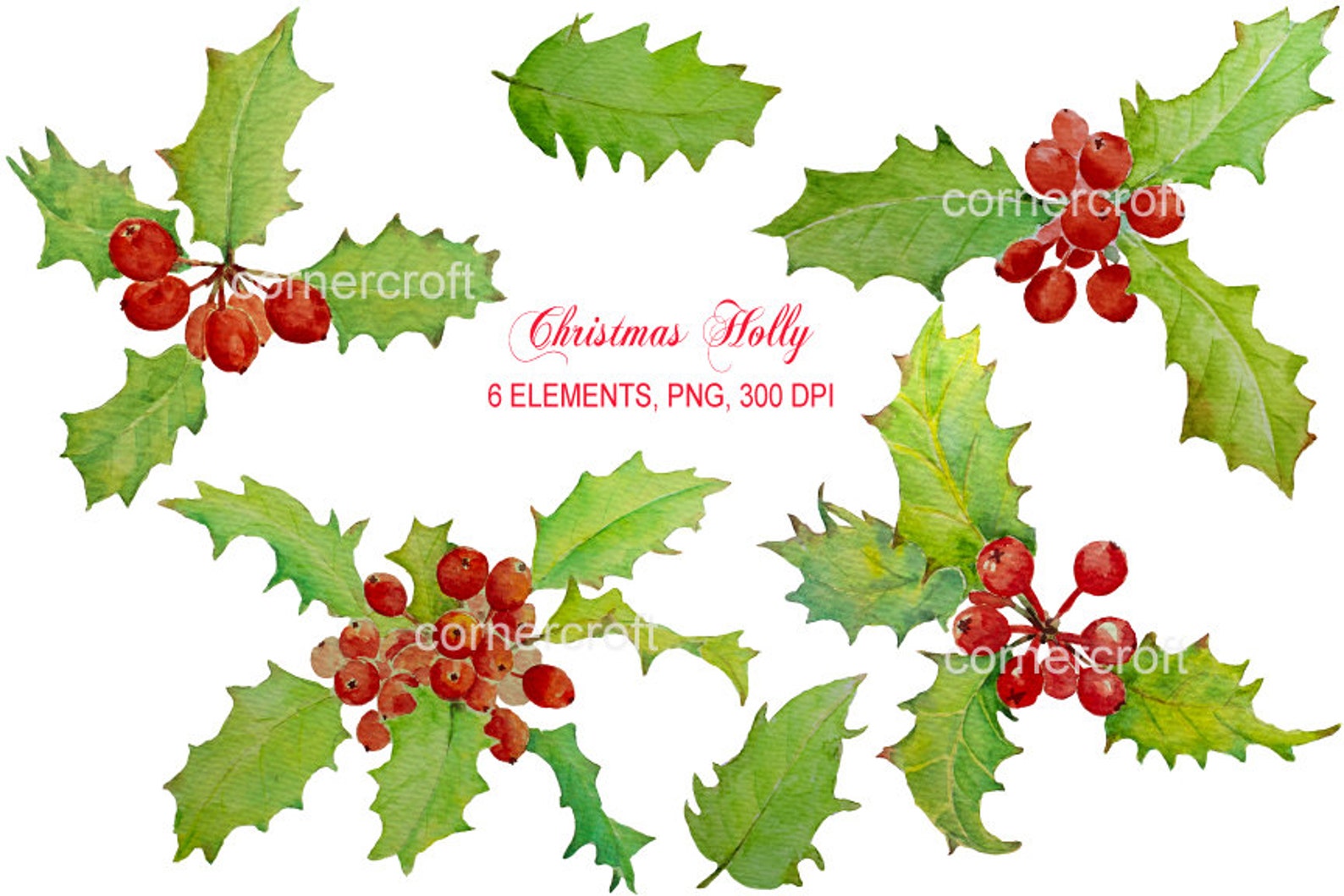 Watercolor Clipart Christmas Holly and Berry instant download | Etsy