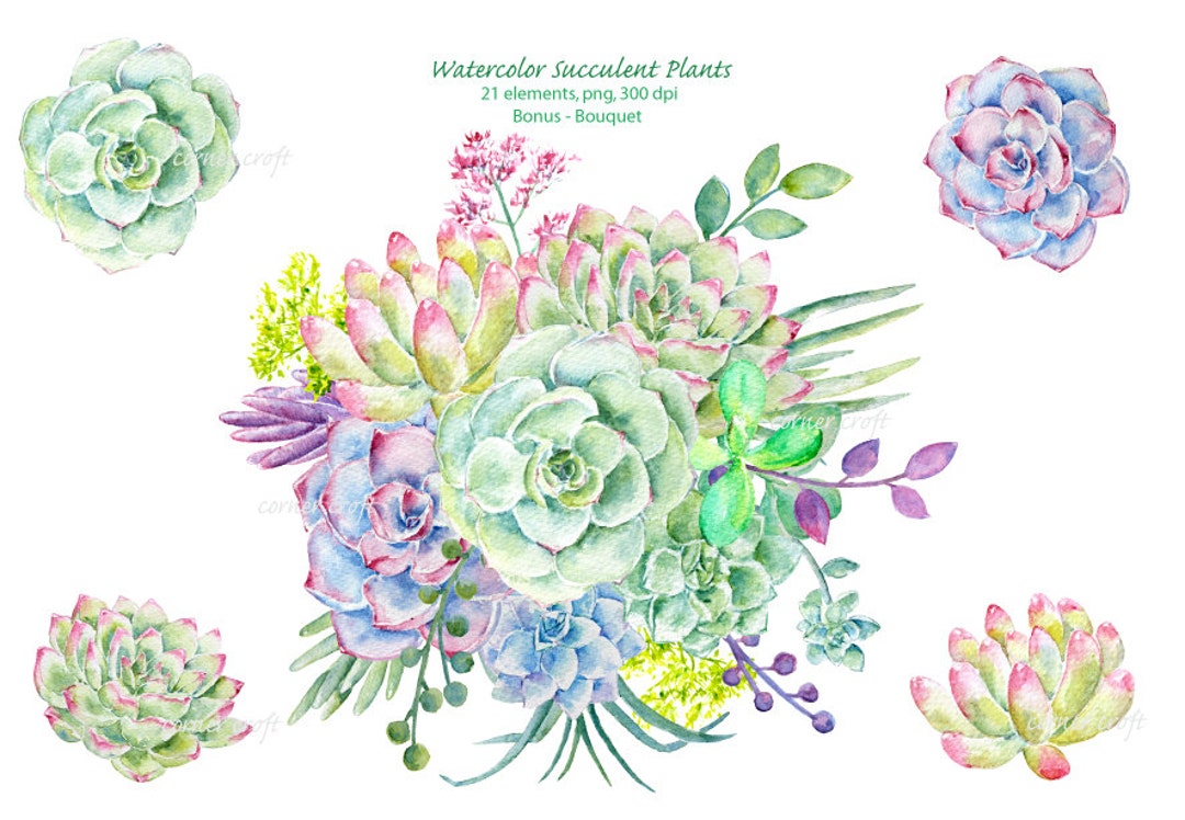 Watercolor Clipart Succulent Plants Printable Instant Download - Etsy