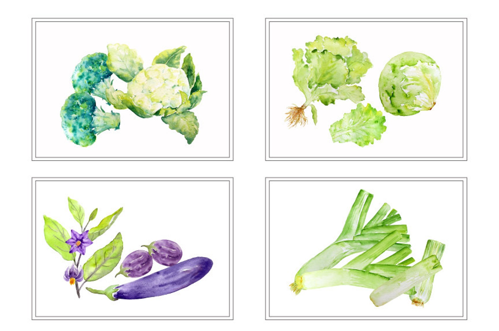 Hand Painted Watercolor Vegetables Lettuce, Leeks, Aubergine, Cabbage ...
