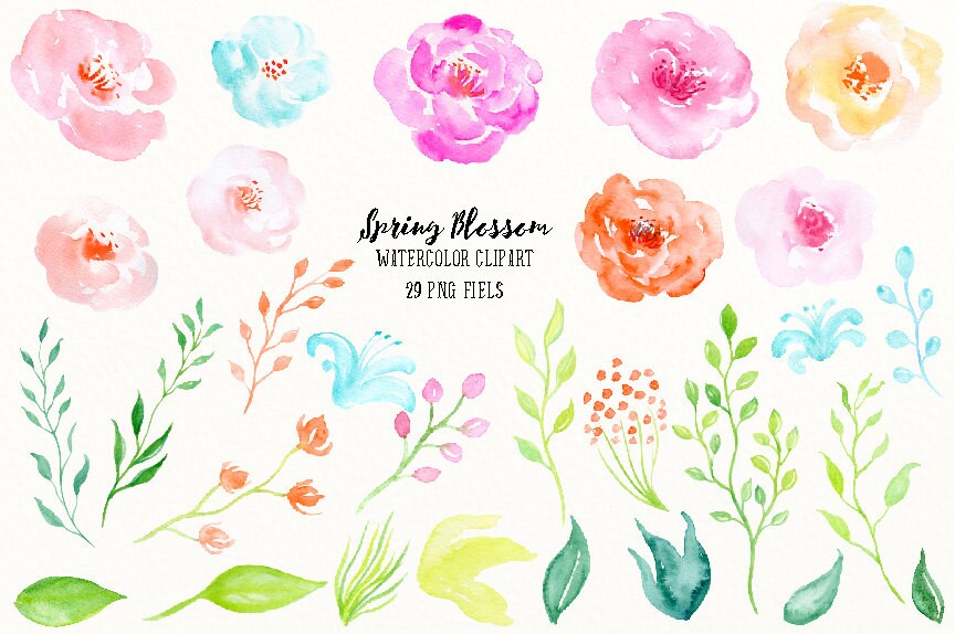 Watercolor Clipart Spring Blossom - Spring Flowers and Decorative ...