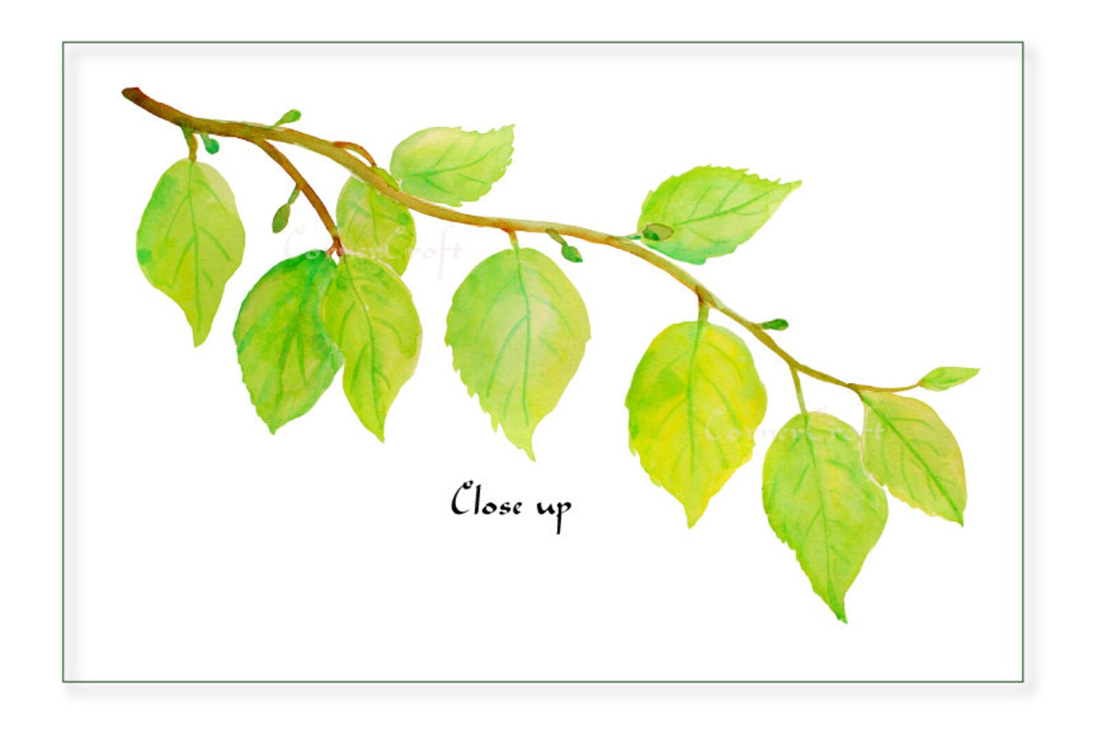 Watercolor Spring Tree, Branch and Young Shoot for Instant Download - Etsy